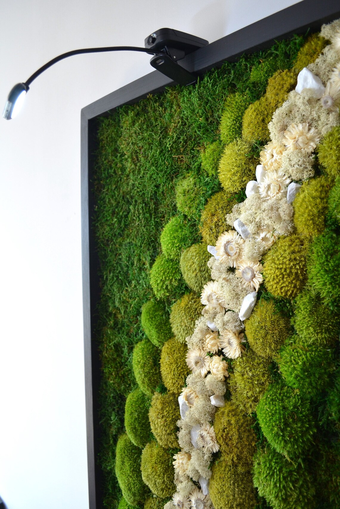 Angel River Wall Art Preserved Moss Lighted Moss Wall Beautiful ...
