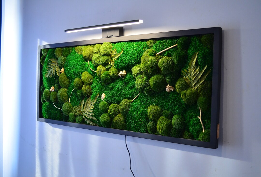 Gold Edition + Led Lamp Art: Wall Decoration With Moss + LED Lamp ...