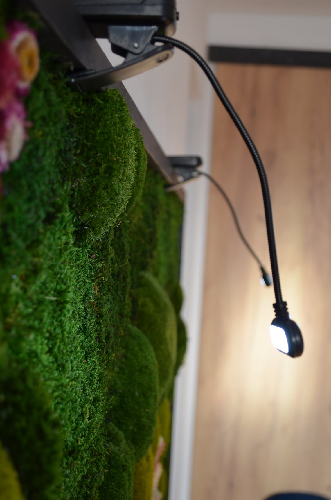 Amazing Moss Art. Lighted Moss Wall Beautiful Preserved Moss Artwork's ...