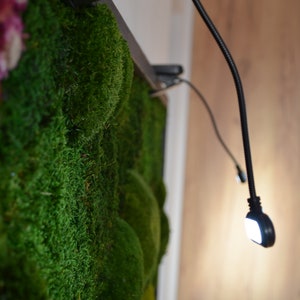 Amazing Moss Art. Lighted Moss Wall Beautiful Preserved Moss Artwork's ...