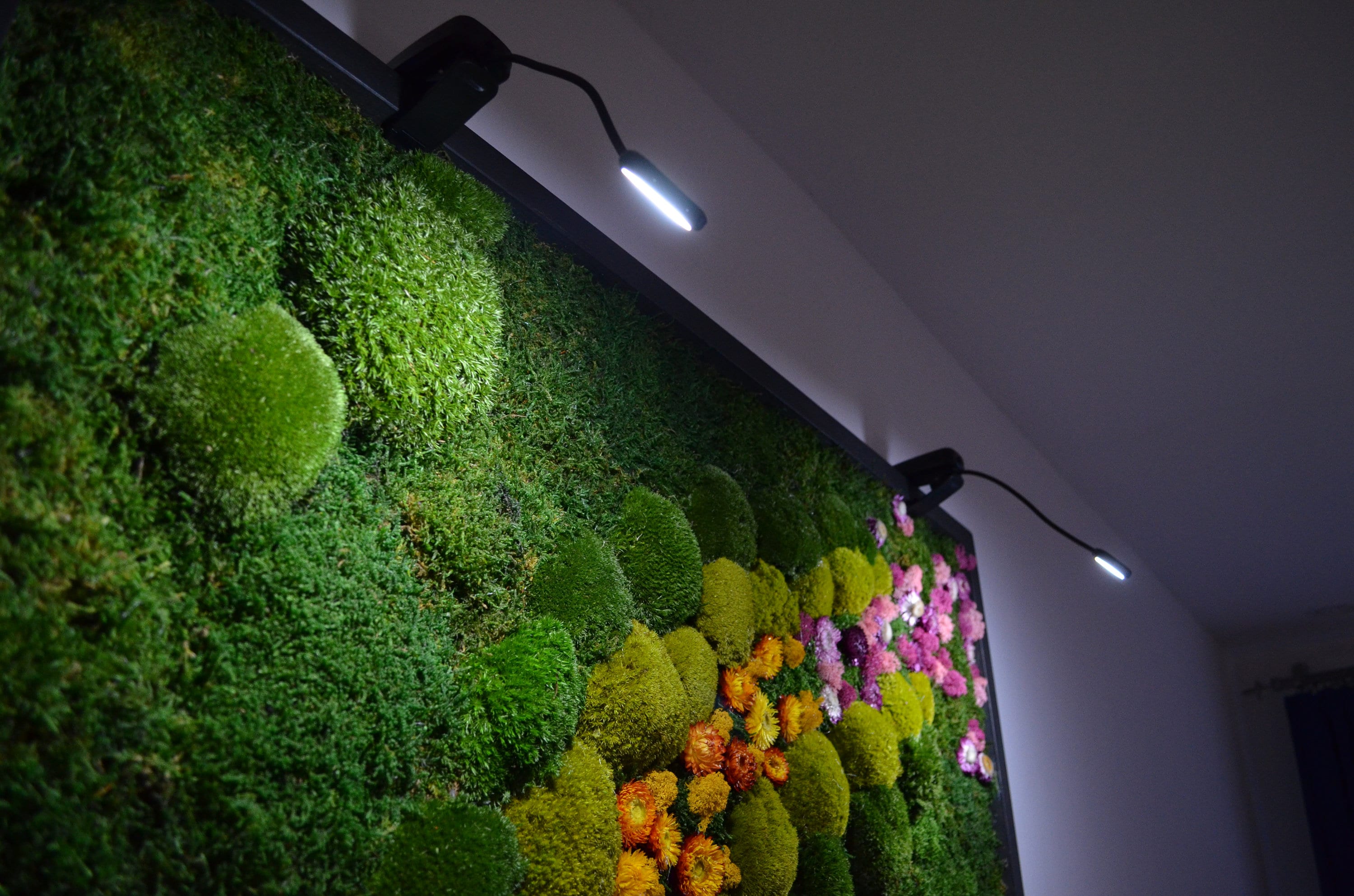 Amazing Moss Art. Lighted Moss Wall Beautiful Preserved Moss Artwork's ...