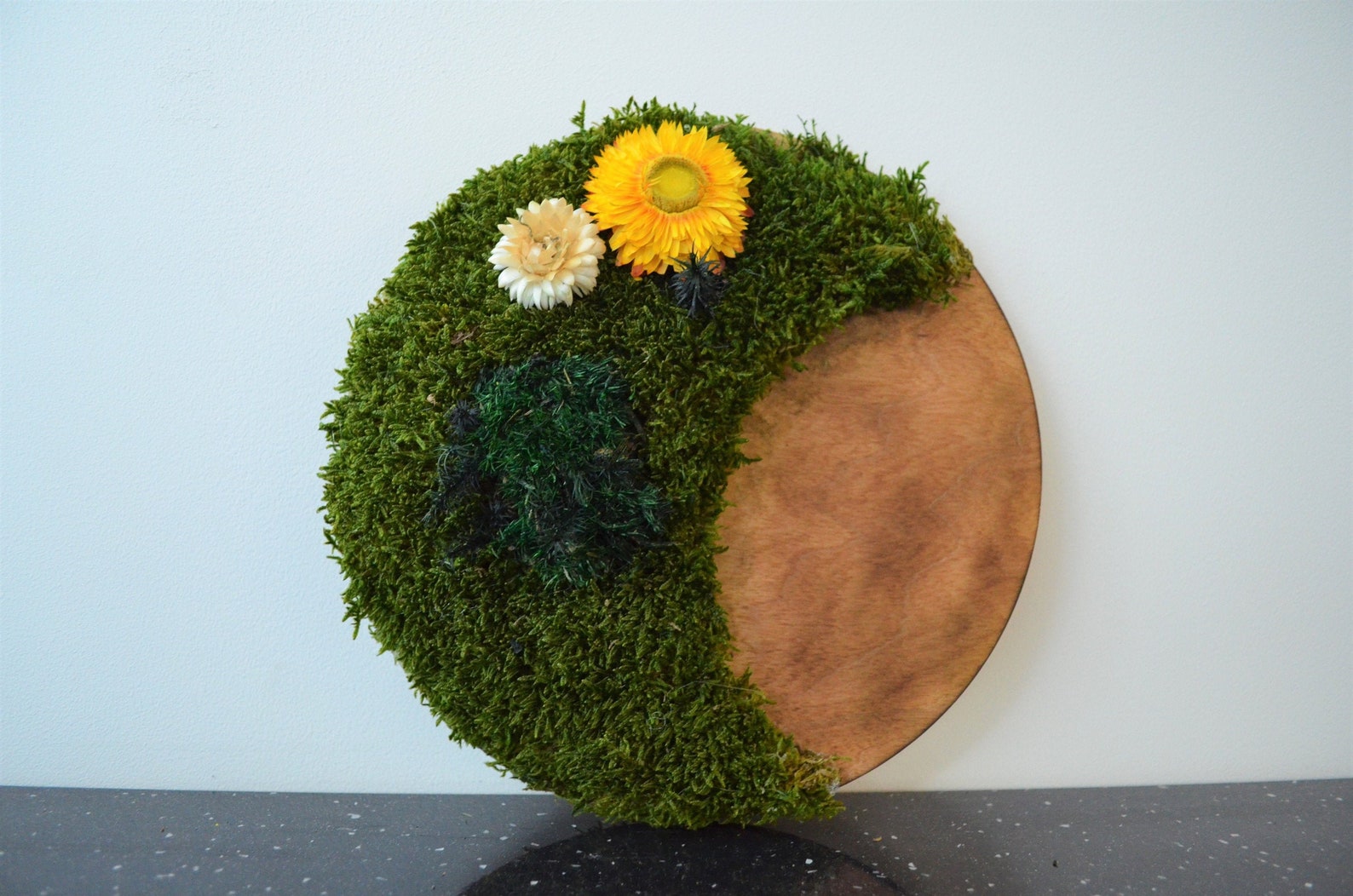 Round Moss Art Work Moss Decoration Green Wall - Etsy