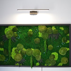 Wall Decoration With Moss and LED Lamp, Preserved Moss Art ...