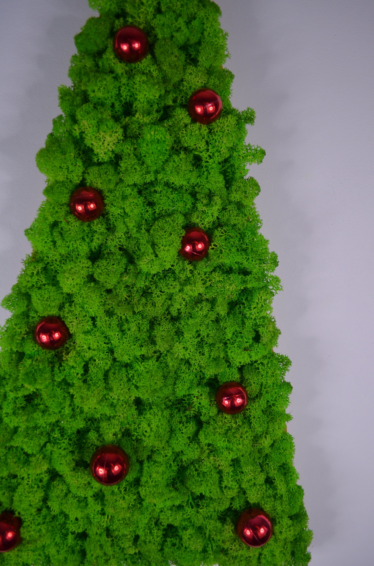 Christmas Tree Made of Moss. Christmas. 60cm. Moss Art. Christmas Gift ...