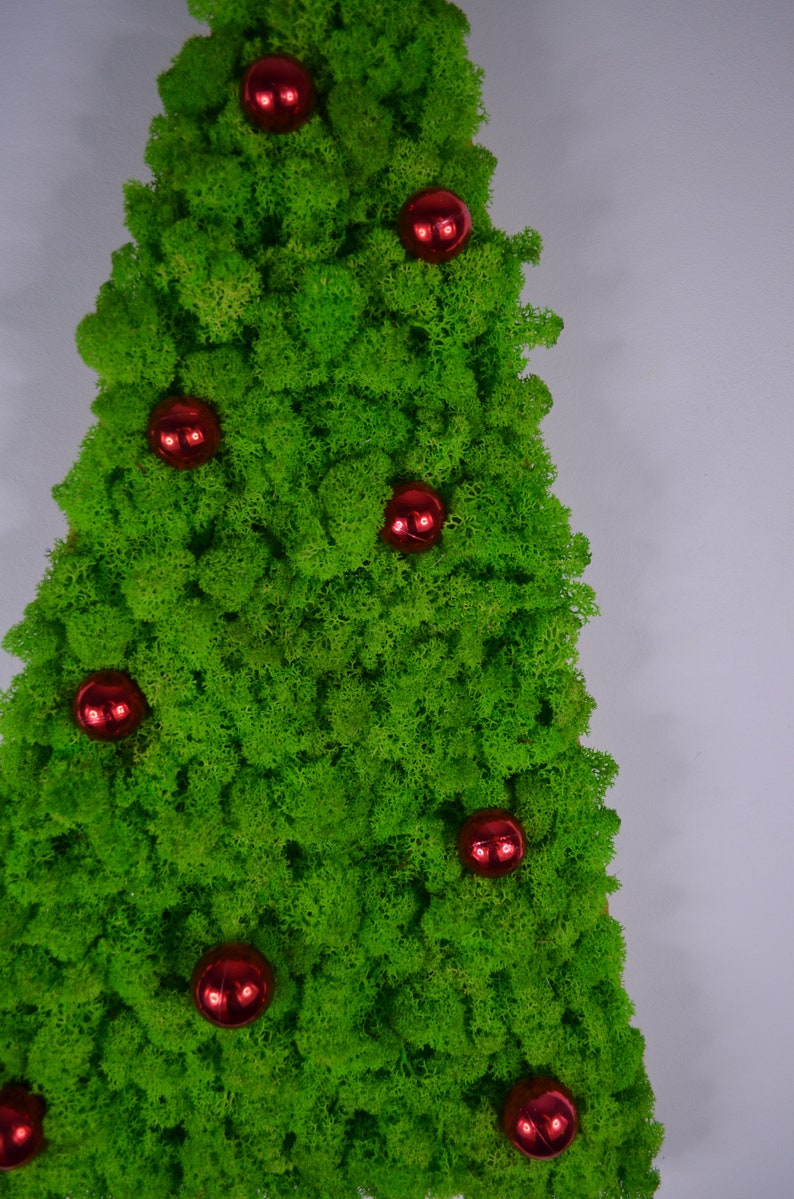 Christmas Tree Made of Moss. Christmas. 60cm. Moss Art. - Etsy