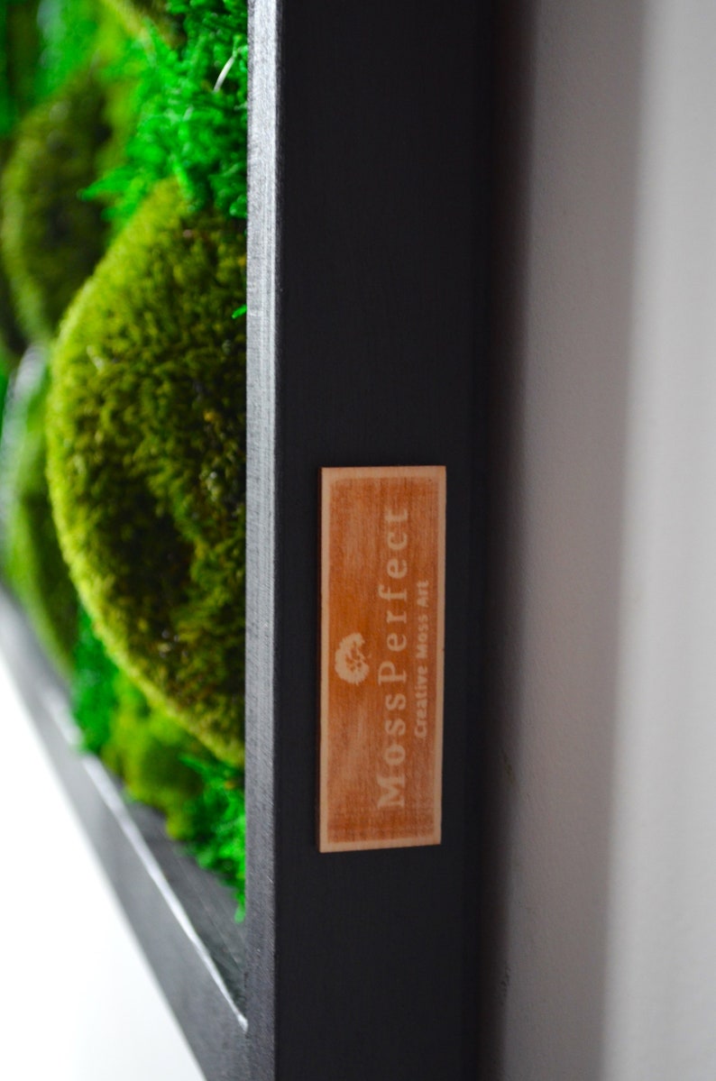 Gold Edition Wall Decoration With Moss Preserved Moss Art. Maintenance ...