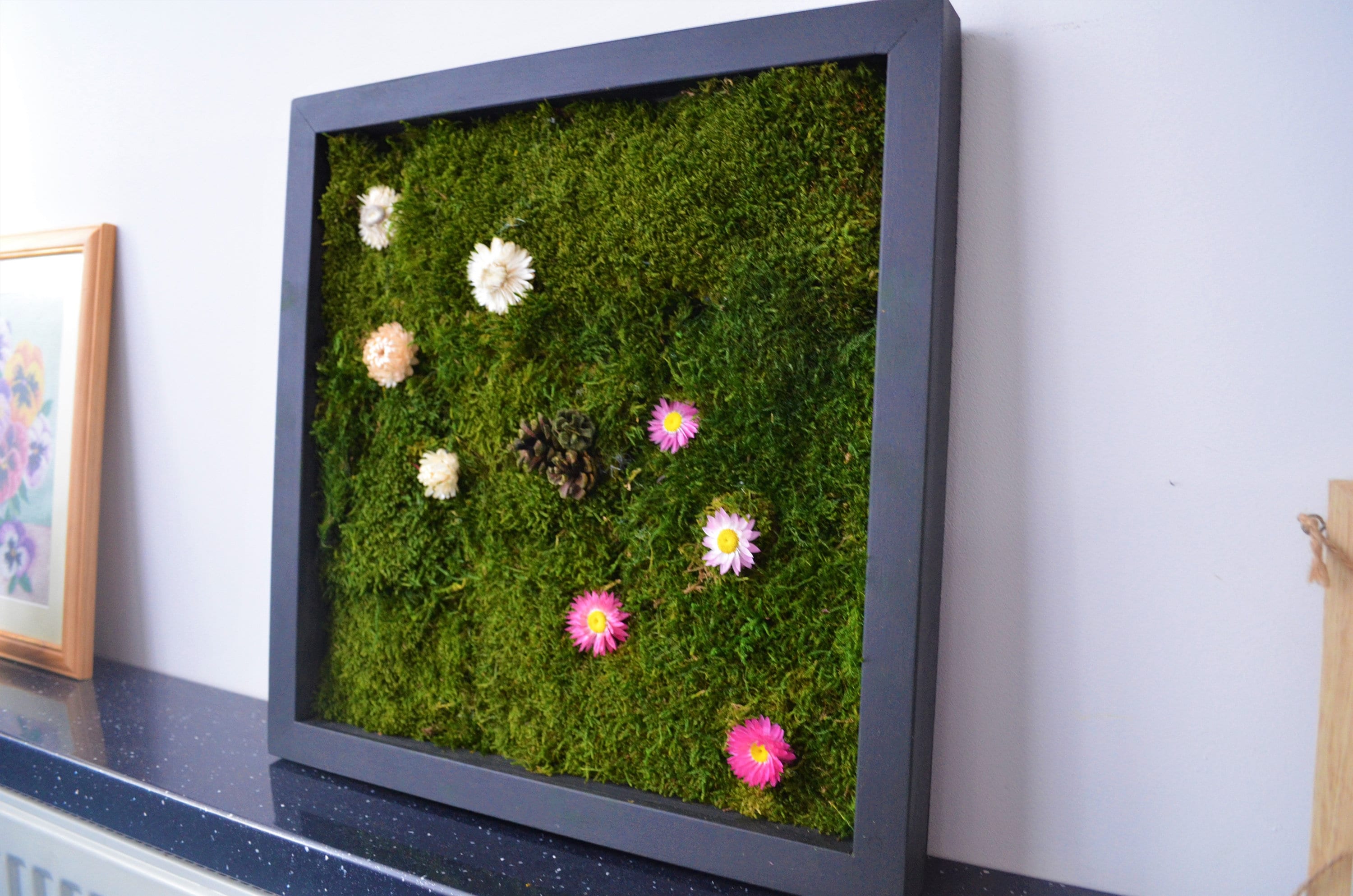 Moss Frames Moss Wall 40x40 Moss Wall Art Real Moss - Etsy