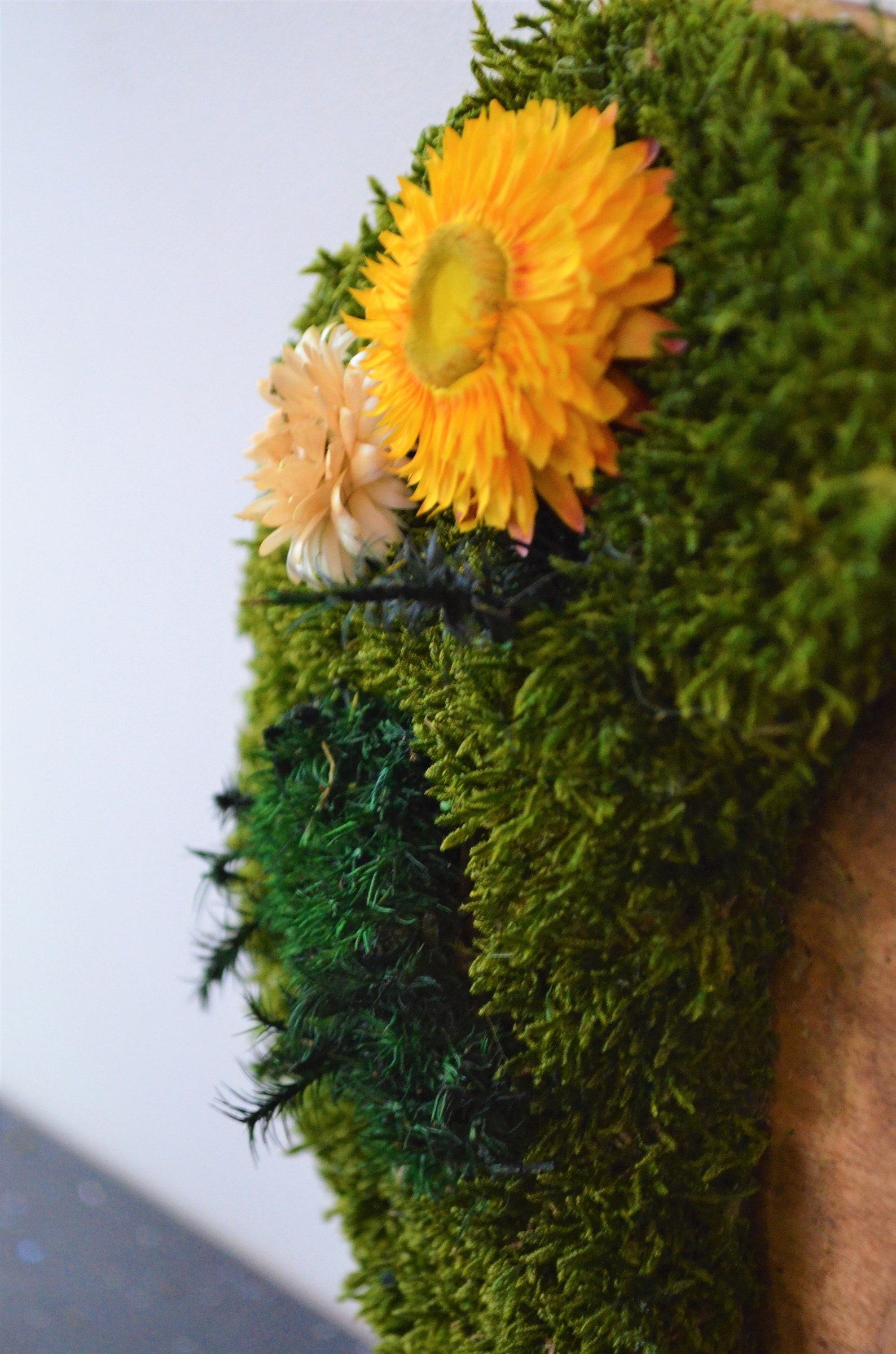 Round Moss Art Work Moss Decoration Green Wall - Etsy