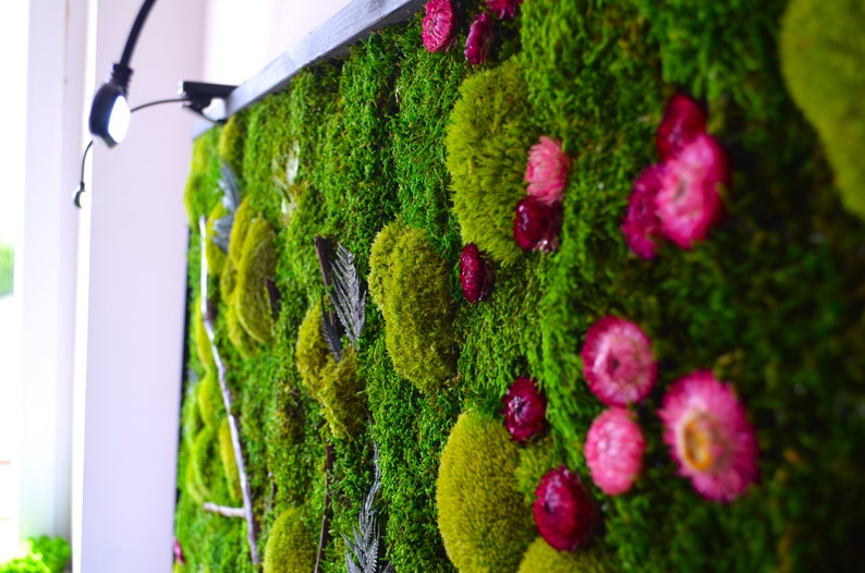 Unique Gift, Real Moss Decor, Nature Room Decor, Moss Art - Etsy