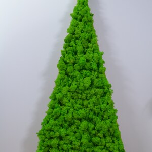 Christmas Tree Made of Moss. Christmas. 60cm. Moss Art. Christmas Gift ...