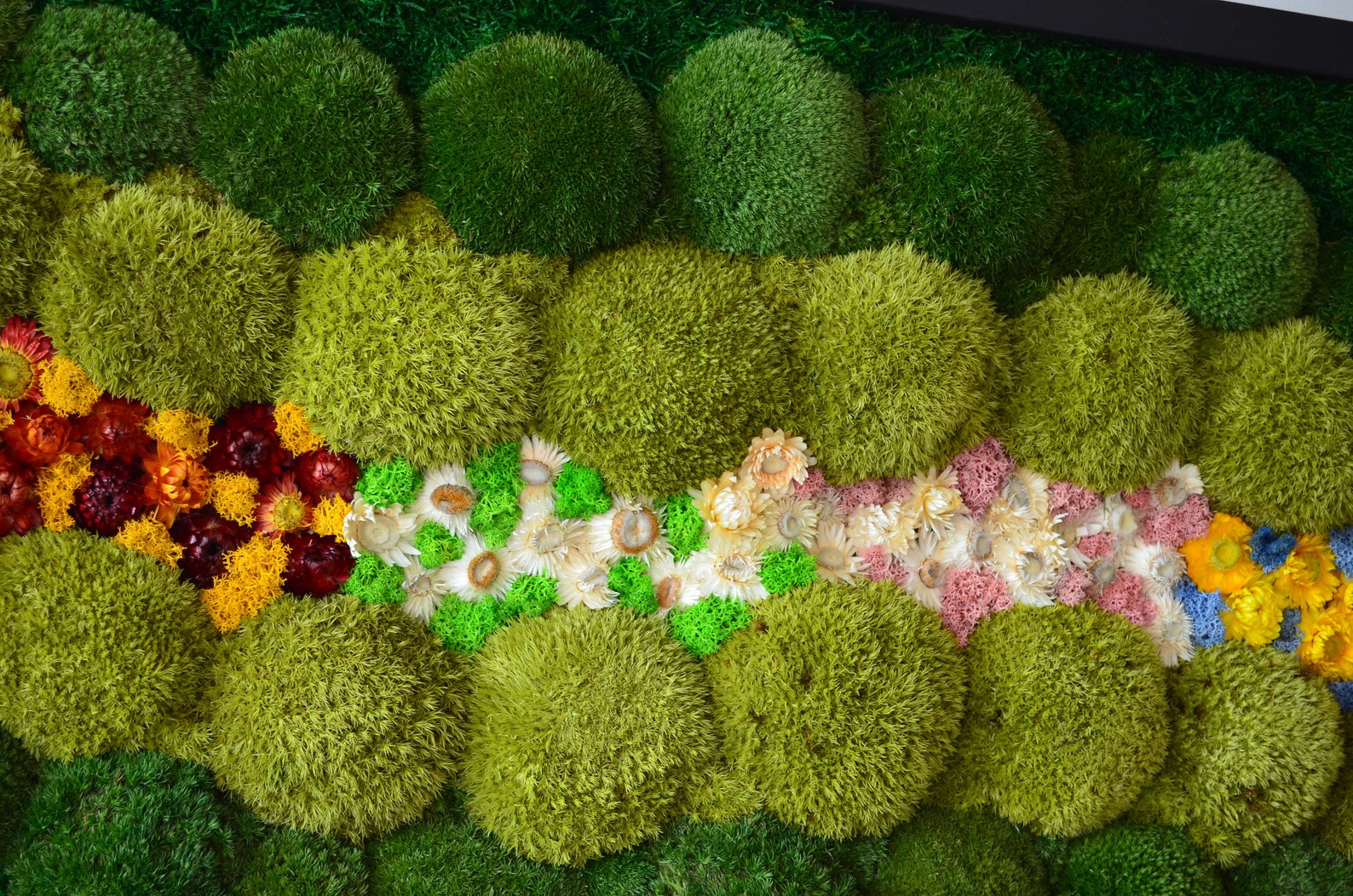 Flower Edition: Wall Art Preserved Moss Lighted Moss Wall Beautiful ...