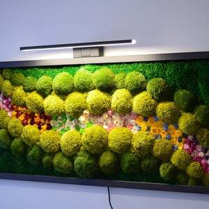 NEW! Flower Edition + Led Lamp - Preserved Moss Art, , Maintenance-free ...