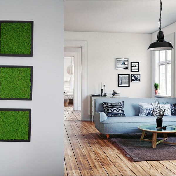 Moss Frames - Etsy