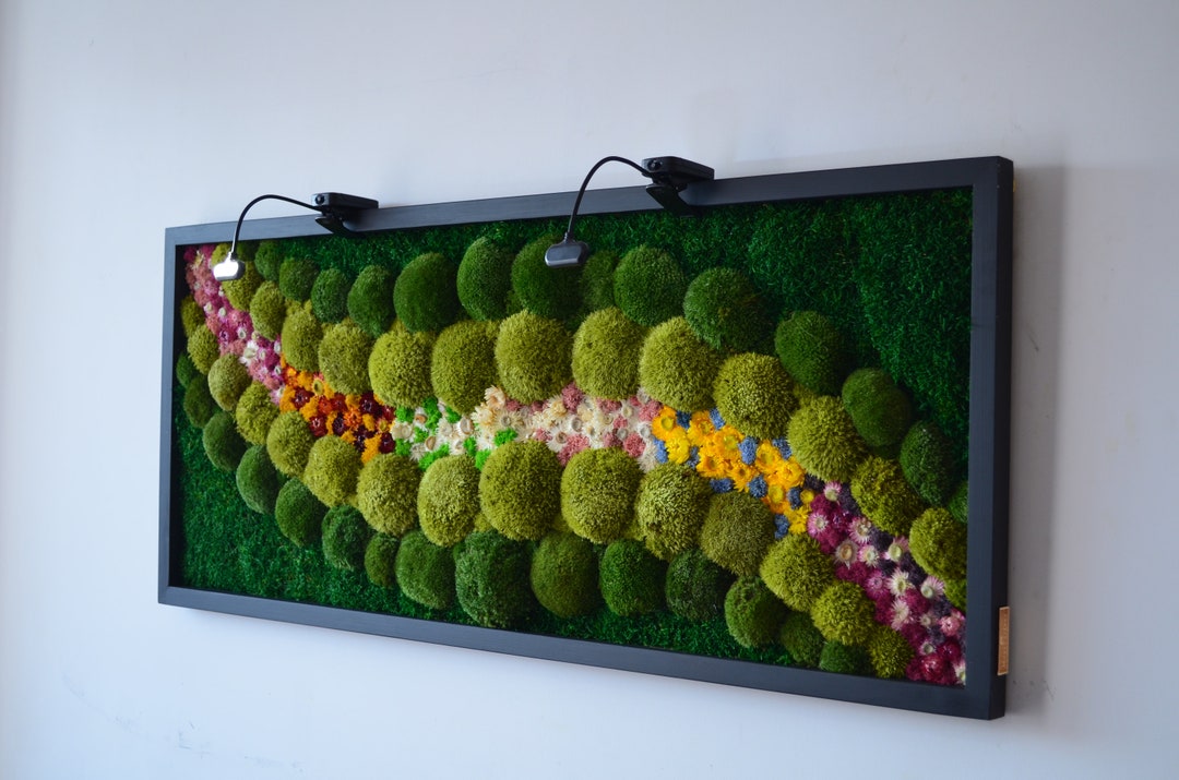Flower Edition + Led Lamp: Wall Art Preserved Moss Lighted Moss Wall ...