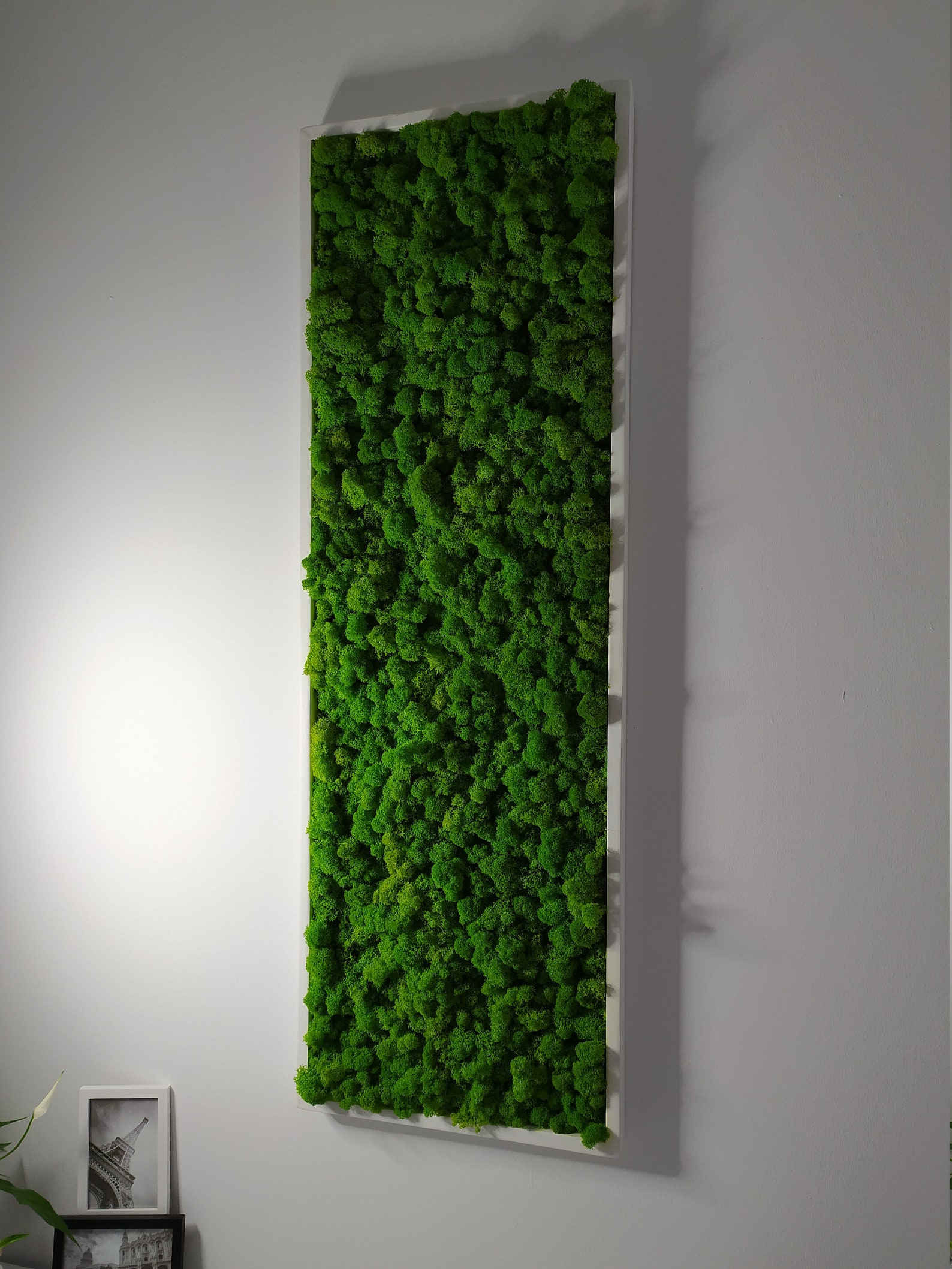 Moss Frame Moss Wall 120x40 Moss Wall Art Real Moss - Etsy