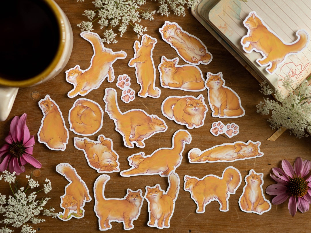 20 Fluffy Cat Stickers, Cute Cat Stickers, Hand Drawn Stickers, Journal ...