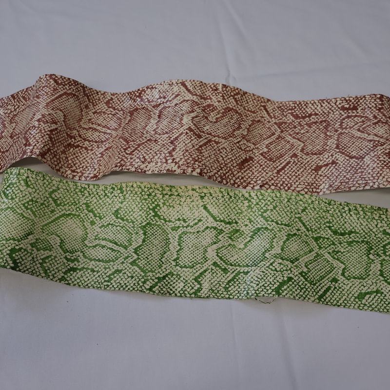 Real Snake Skin - Etsy