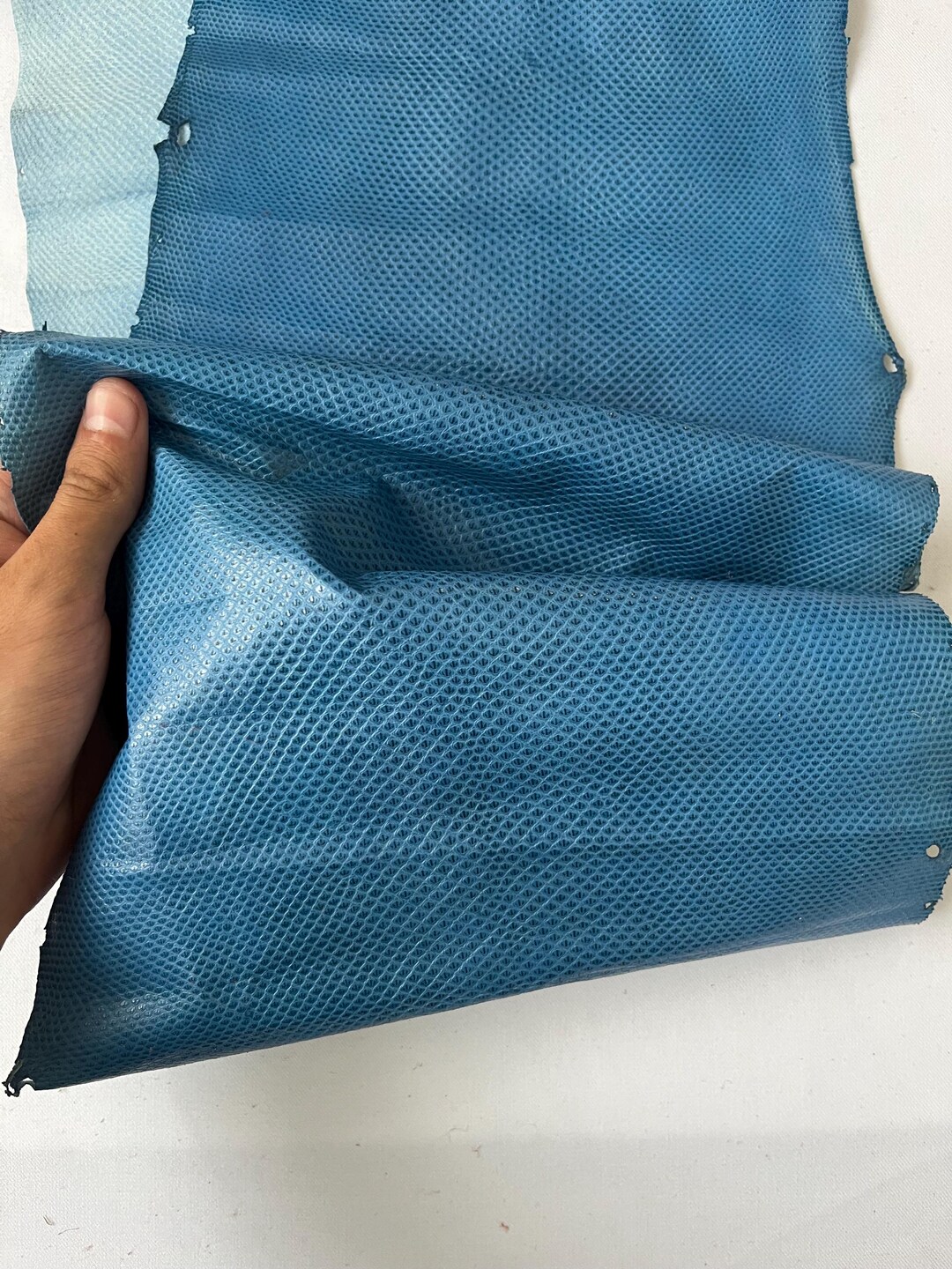 Genuine Snake Leather, Real Snakeskin Hide, Long and Wide Karung ...