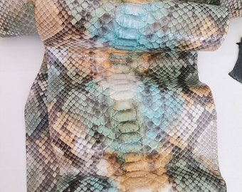 Real Snake Skin - Etsy