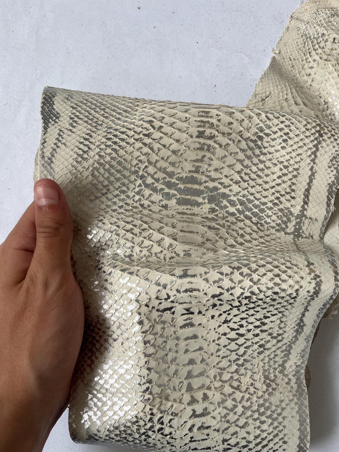 Genuine Python Snakeskin Hide: Silver Touches, Exotic Leather Craft - Etsy