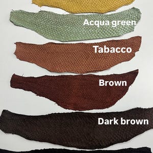 Genuine Fish Leather Hide, Perch Fish Skin, Exotic Leather for Crafts ...