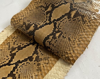 Real Python Leather, Genuine Snake Leather Hide Color Beige, Long and ...
