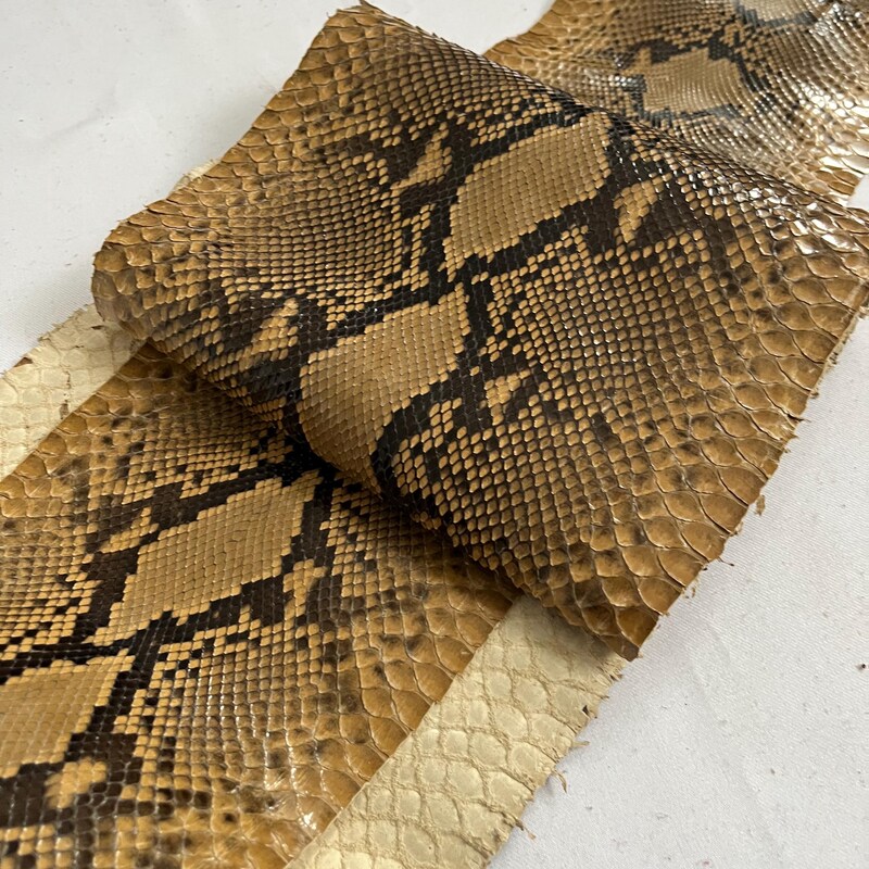 Snakeskin - Etsy