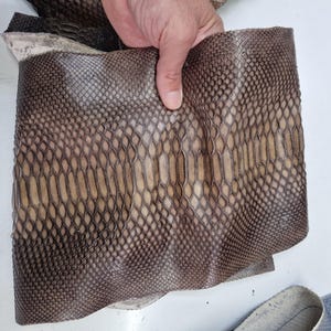 Genuine Python Snakeskin Hide, Long & Wide Exotic Leather for Crafts - Etsy