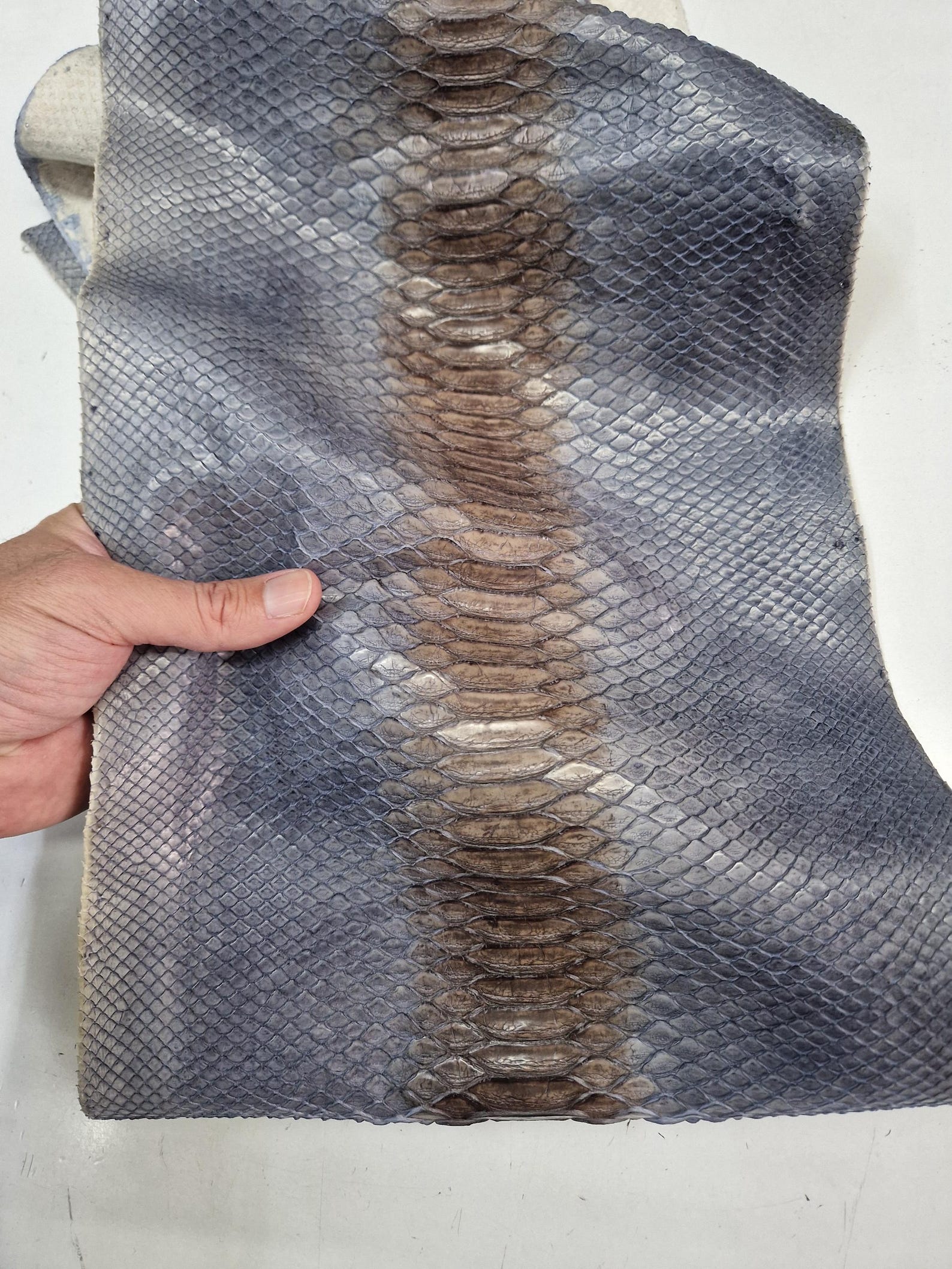 Genuine Python Snakeskin Hide, Long & Wide Exotic Leather for Crafts - Etsy
