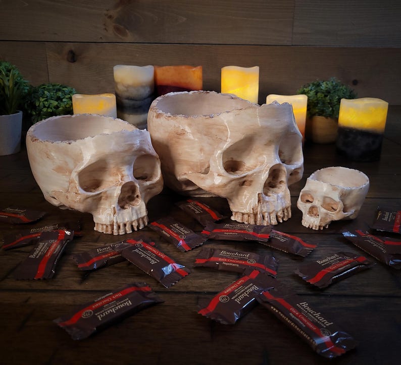 Cranium Container Spooky Skull Bowl - Etsy