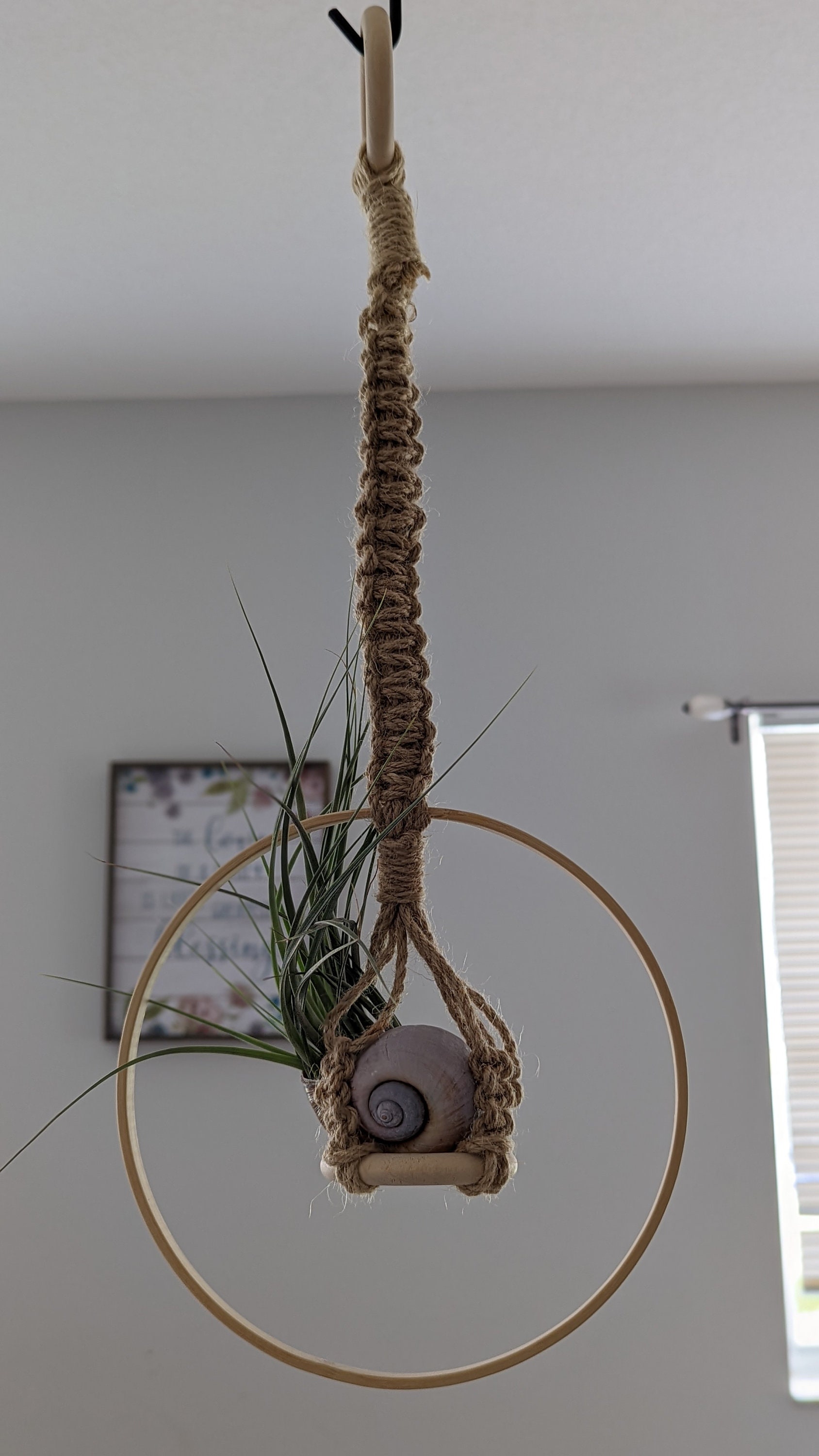 NEW for 2022! Hand-picked GIANT Apple Snail Shell in Handmade Jute Rope ...