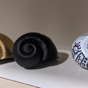 GOLD*** Giant Apple Snail Shells for Crafting, Craft Shells, Craft ...