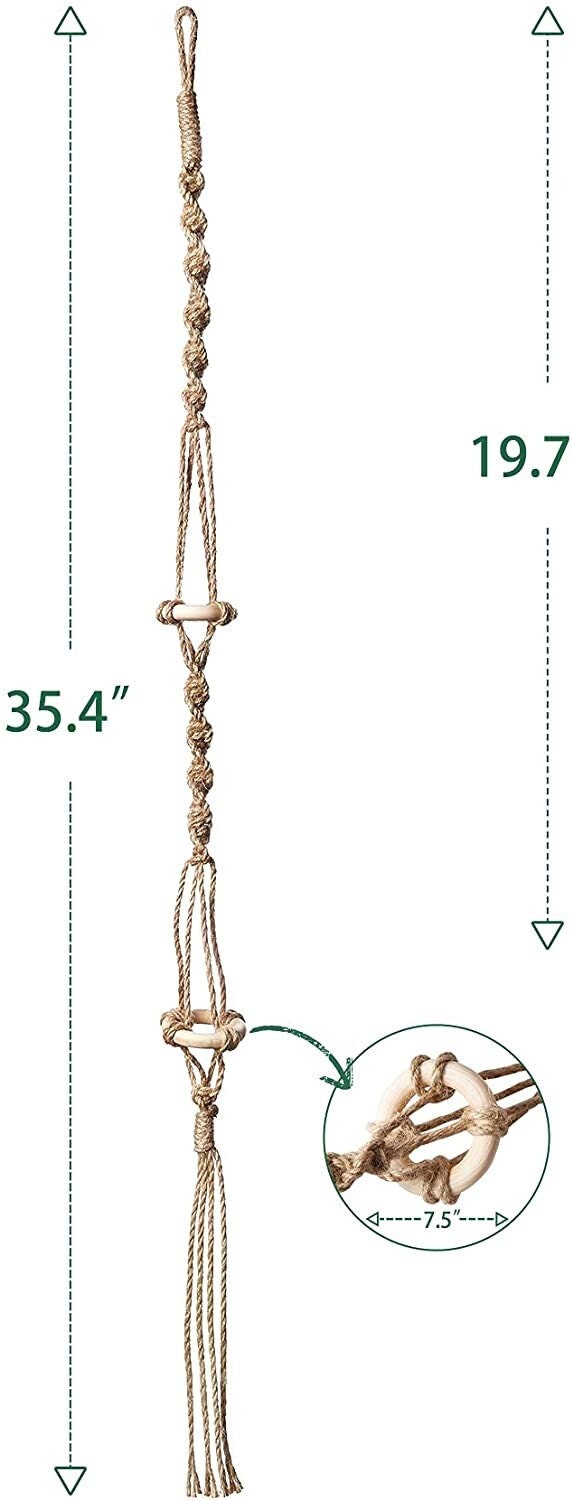 NEW for 2022! Two Hand-picked LARGE Apple Snail Shell in Handmade Jute ...