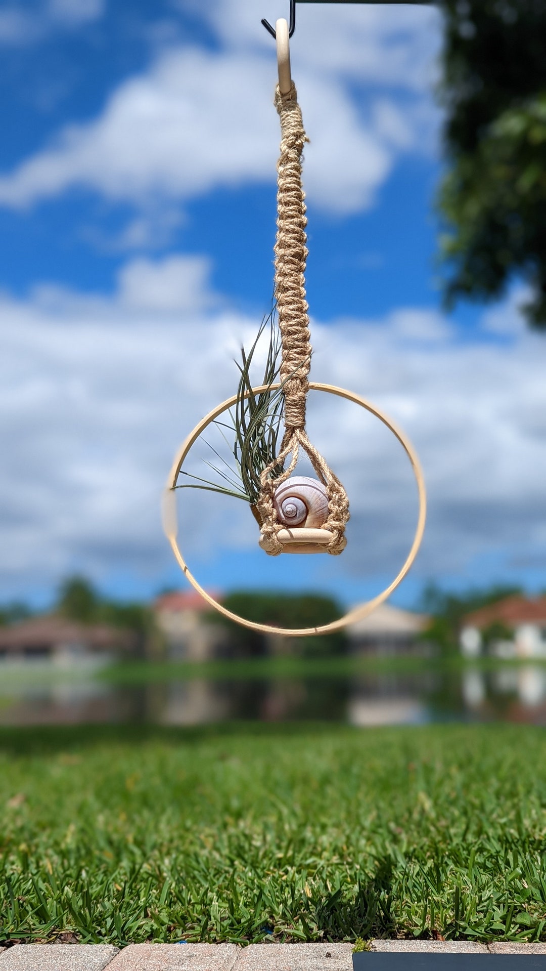NEW for 2022! Hand-picked GIANT Apple Snail Shell in Handmade Jute Rope ...