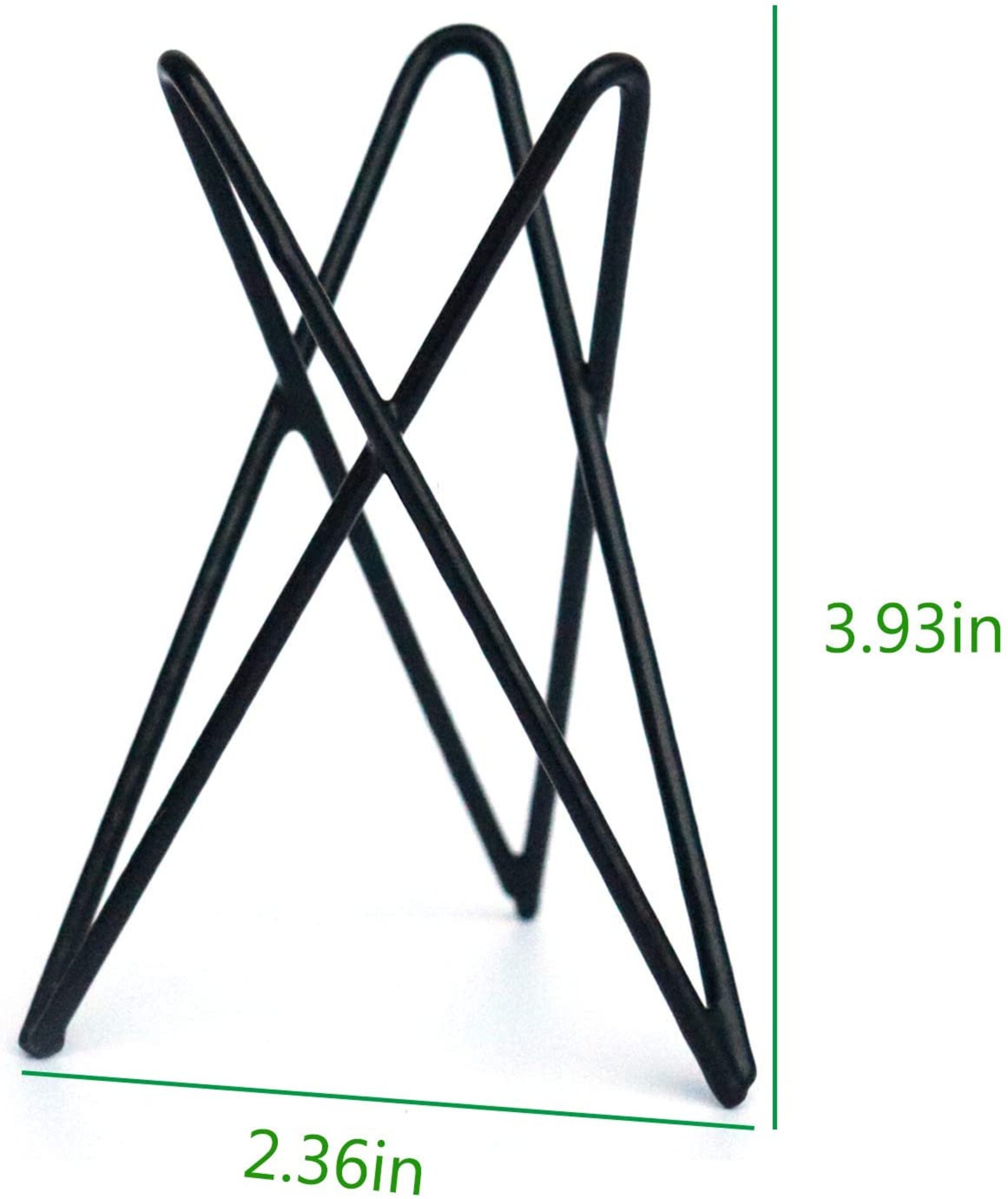 NEW for 2022 Hand-picked LARGE GOLD Apple Snail Shell and Air - Etsy