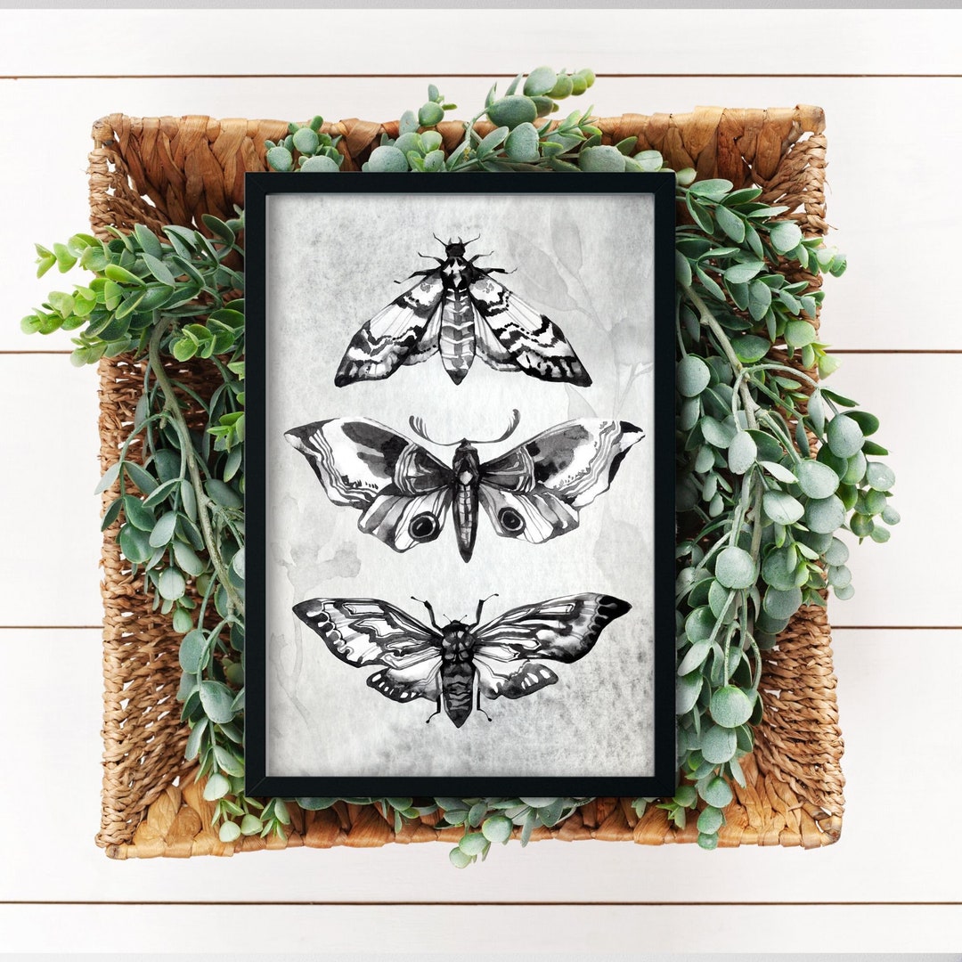 Luna Moth Art 3 Moths Surreal Painting Butterfly Decor - Etsy