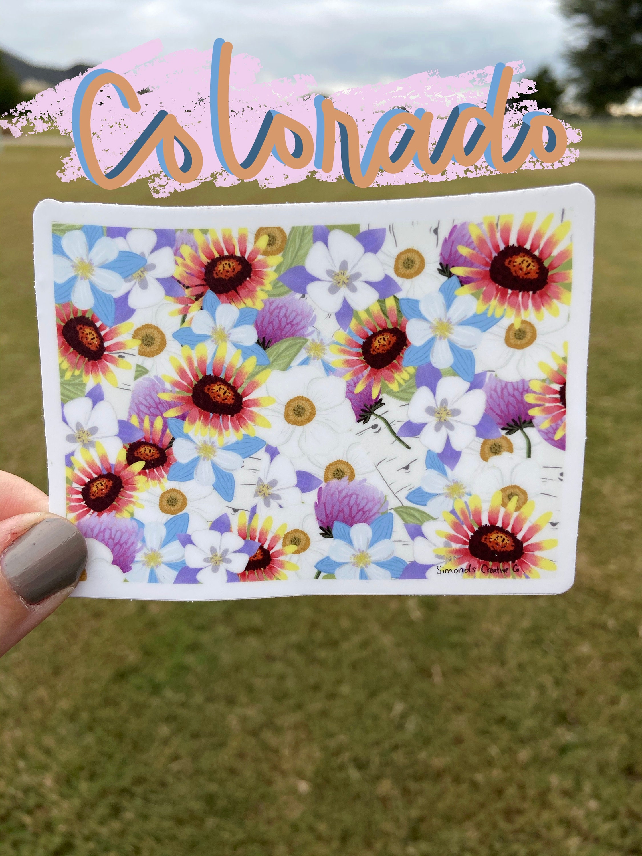 Colorado state sticker Colorado state flower stickers | Etsy