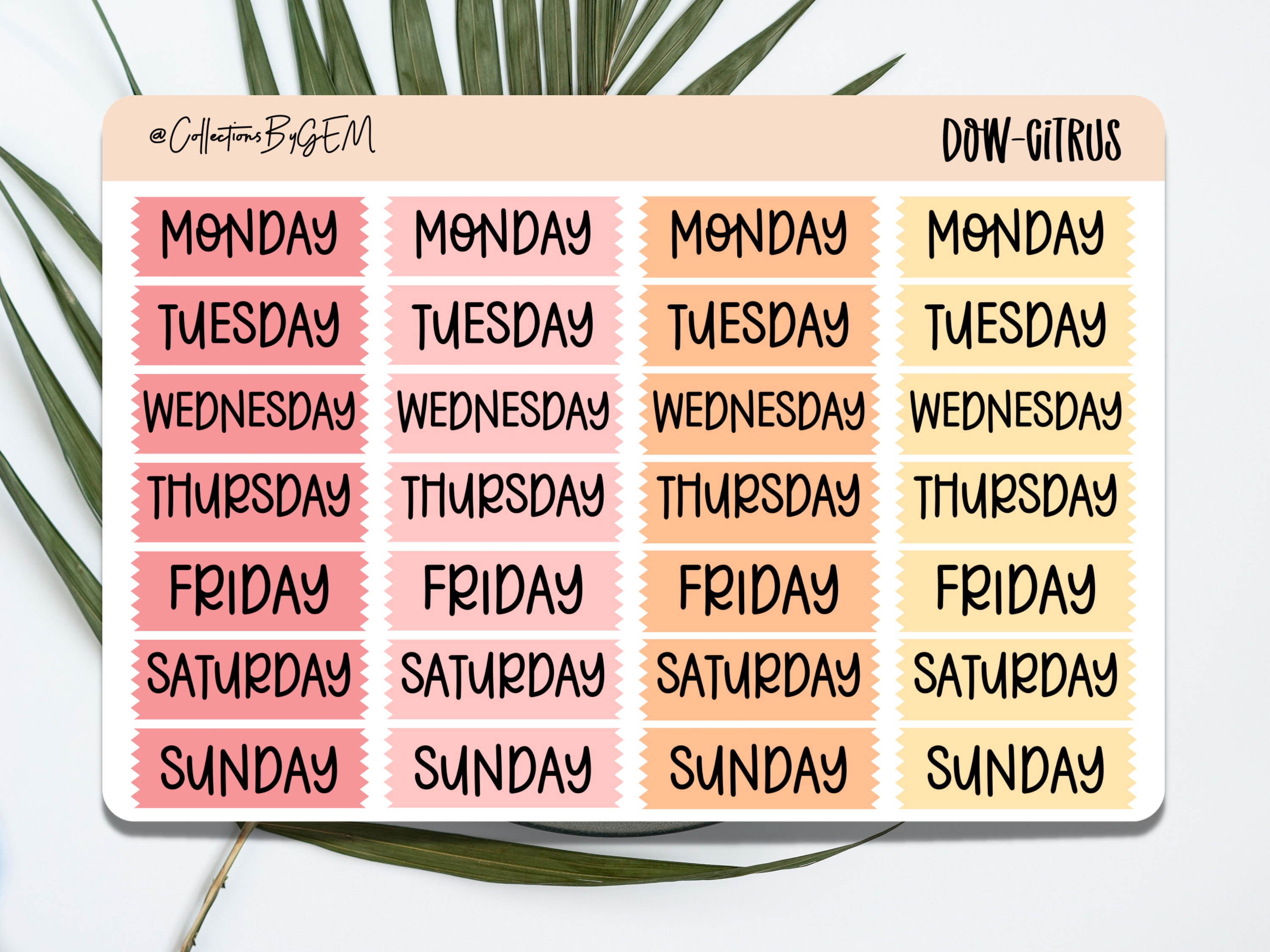 Hand Lettered Days of the Week Stickers/ Script Text Colorful - Etsy