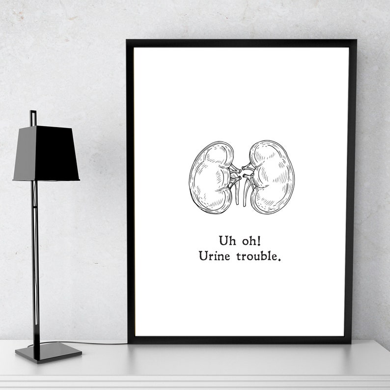 Kidney Joke - Uh Oh! | Funny | Humor | Wall Art | Minimalist | Print ...