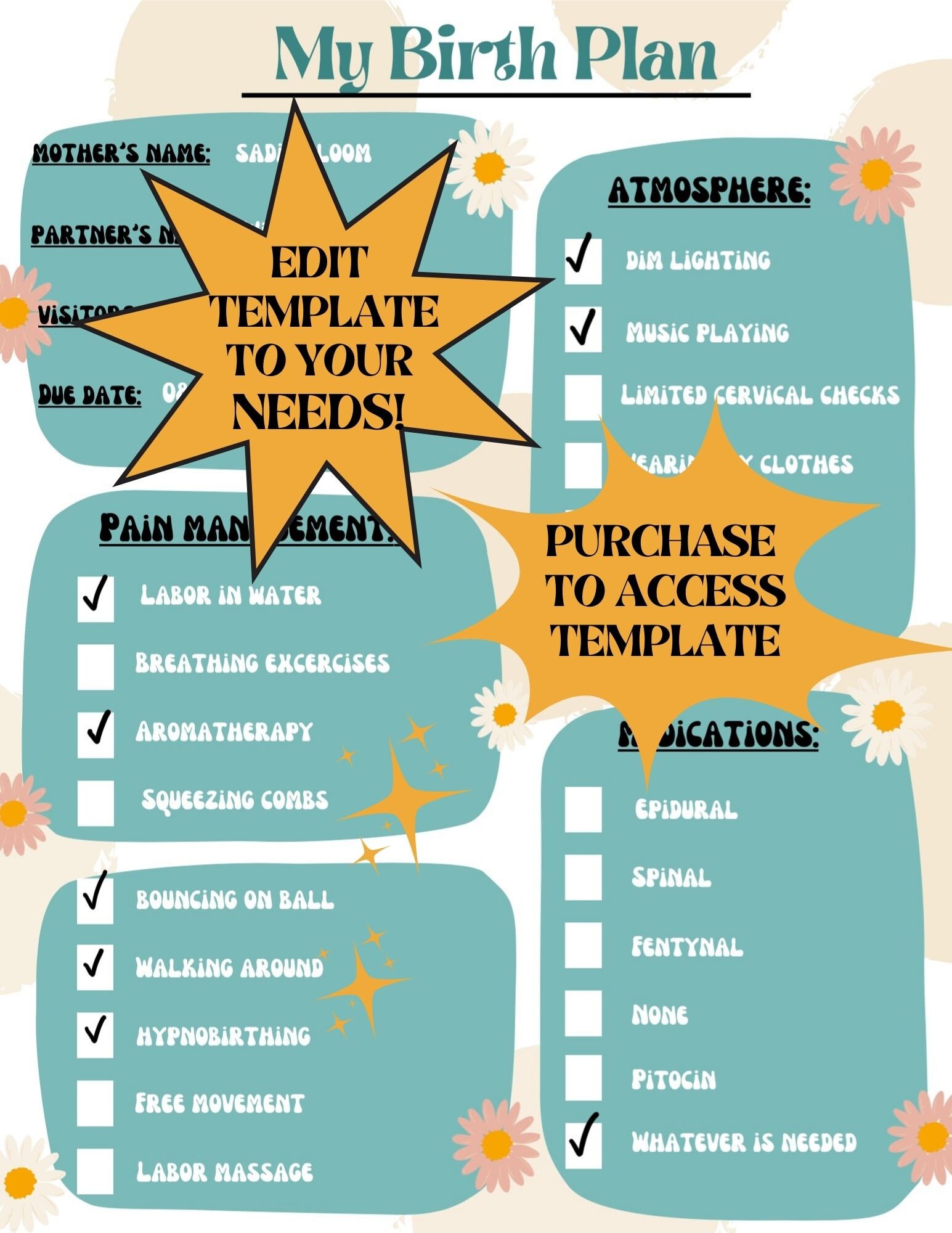 Digital Birth Plan, Birth Preferences, Digital Download, Editable ...