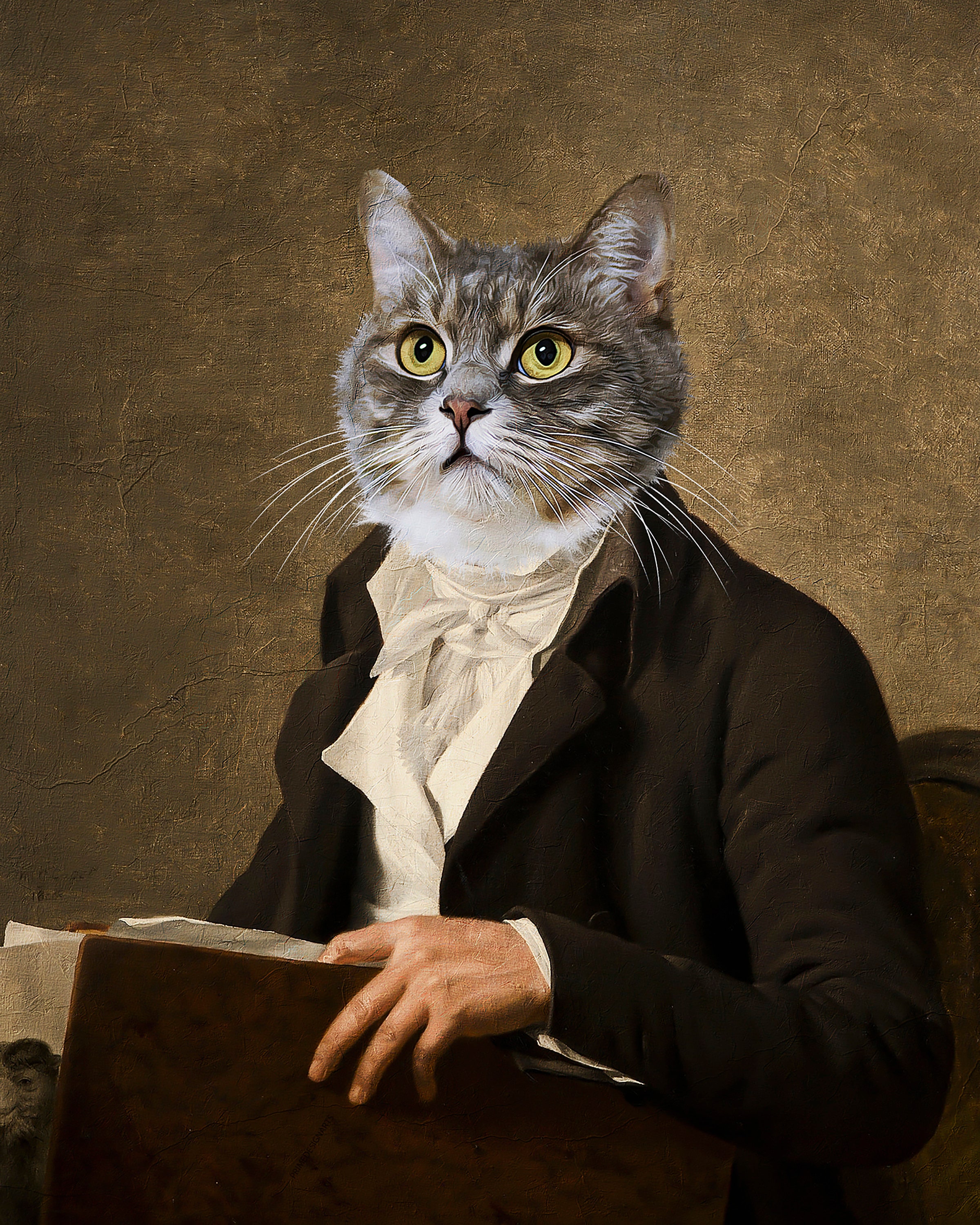 Funny Cat Human Face