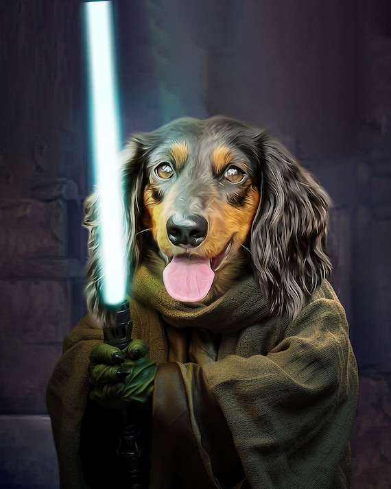 Animales Divertidos Con Sables De Luz