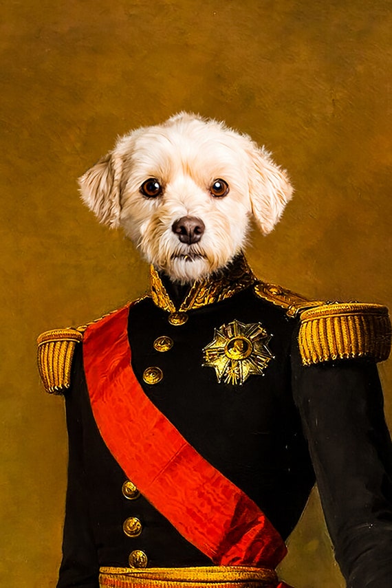 Customizable Pet Portrait of Prince Prince Pet Portrait From | Etsy