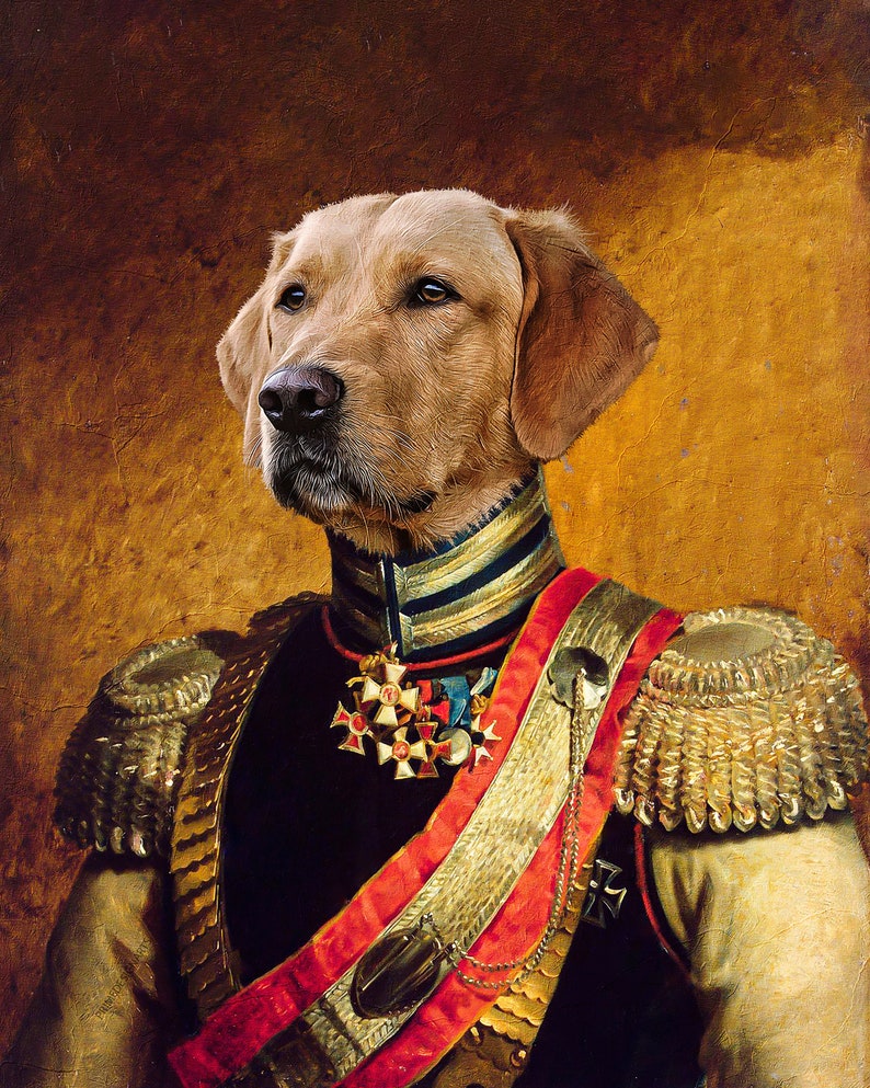 Custom Royal Dog Portrait General Military Pet Art Personalized ...