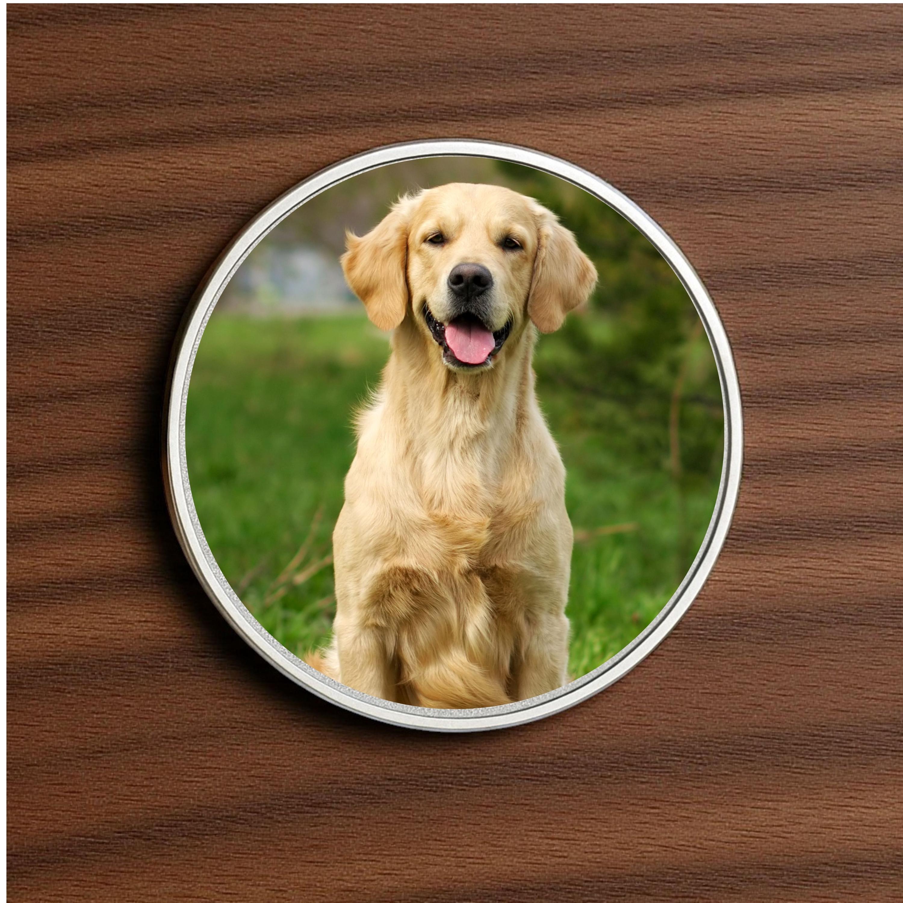 Personalized Photo Coin Keepsake, Custom Pocket Token With Picture ...