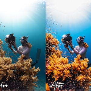10 Underwater Diving Lightroom Presets for Mobile & Desktop, Underwater ...