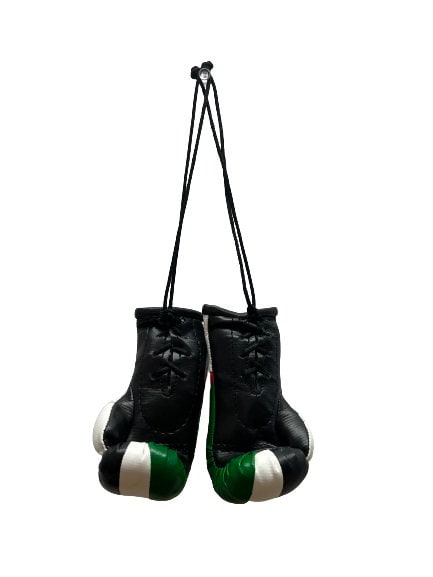 Mini Palestine Boxing Glove / Palestine Flag / Palestine Boxing Glove ...