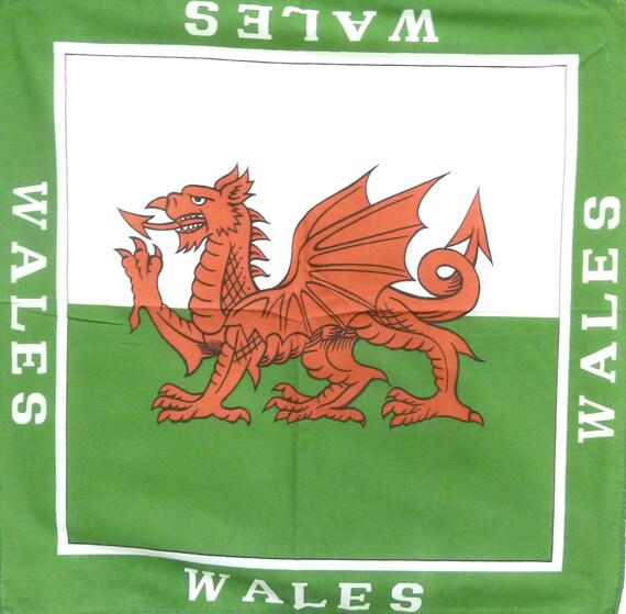 Welsh National Flag Bandana Pet Accessories Pet Supplies etna.com.pe