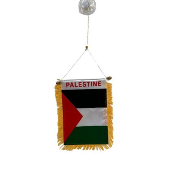Mini Palestine Flags - Etsy