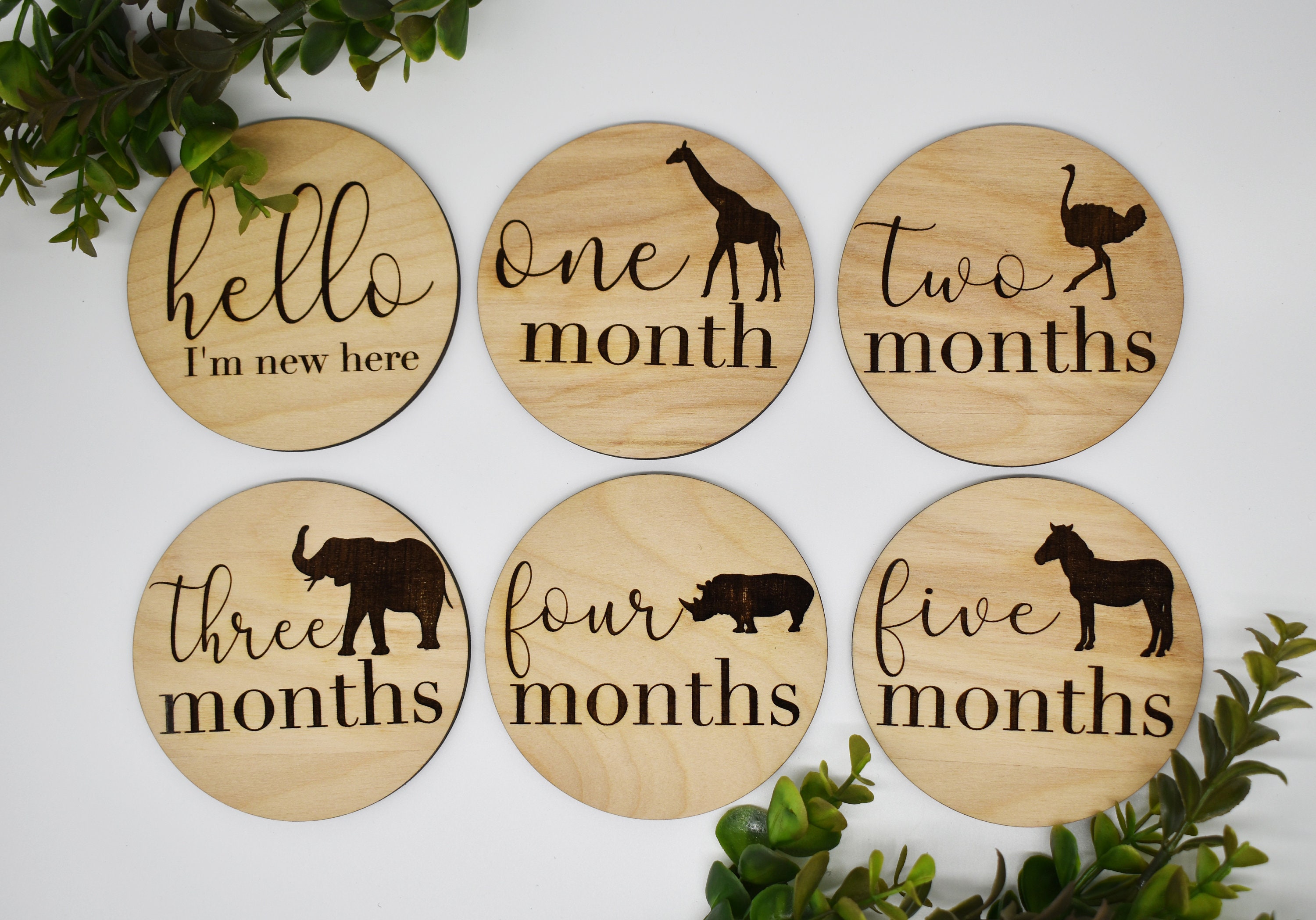 Safari Baby Milestone Signs/ Wooden Milestone Signs/ Monthly Photo ...